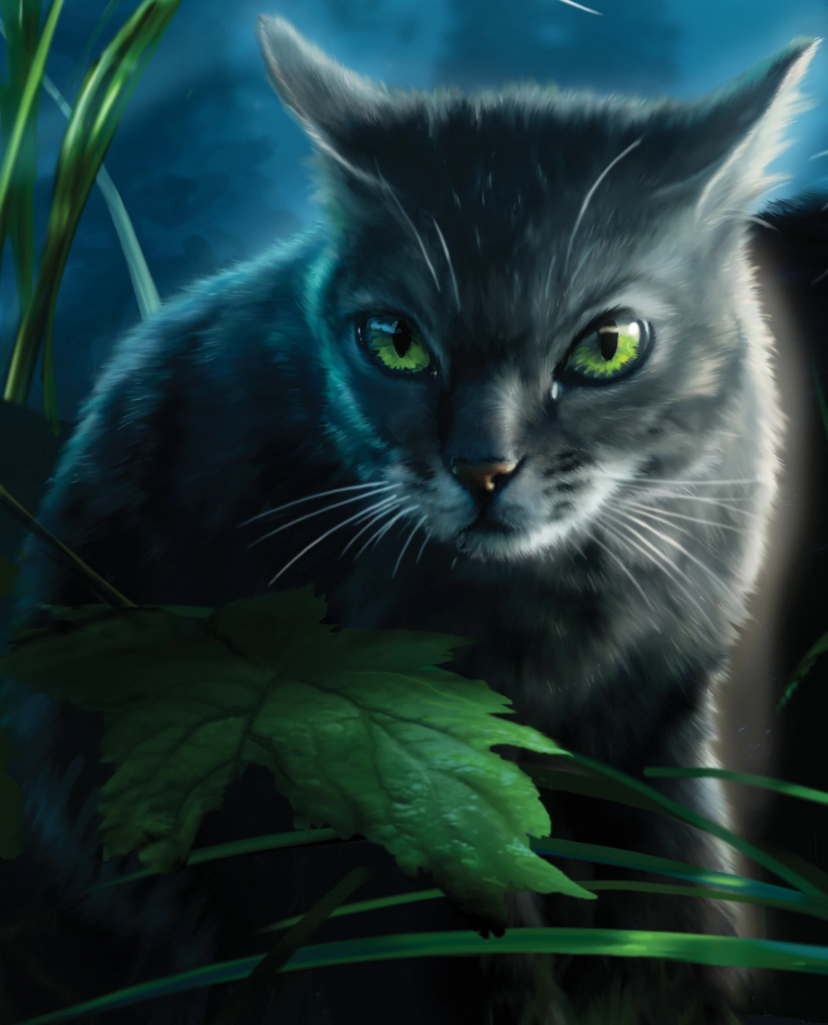 Twigbranch | Warriors Wiki | FANDOM powered by Wikia