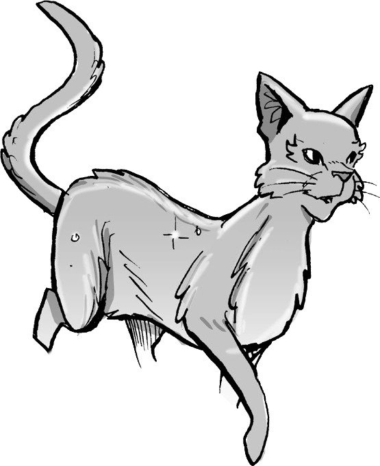 Willowbreeze | Warriors Wiki | Fandom