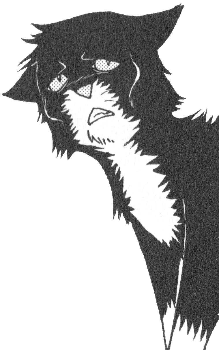 Socks | Warriors Wiki | Fandom