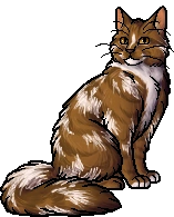 Sunbeam | Warriors Wiki | FANDOM powered by Wikia