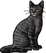 Flywhisker | Warriors Wiki | Fandom