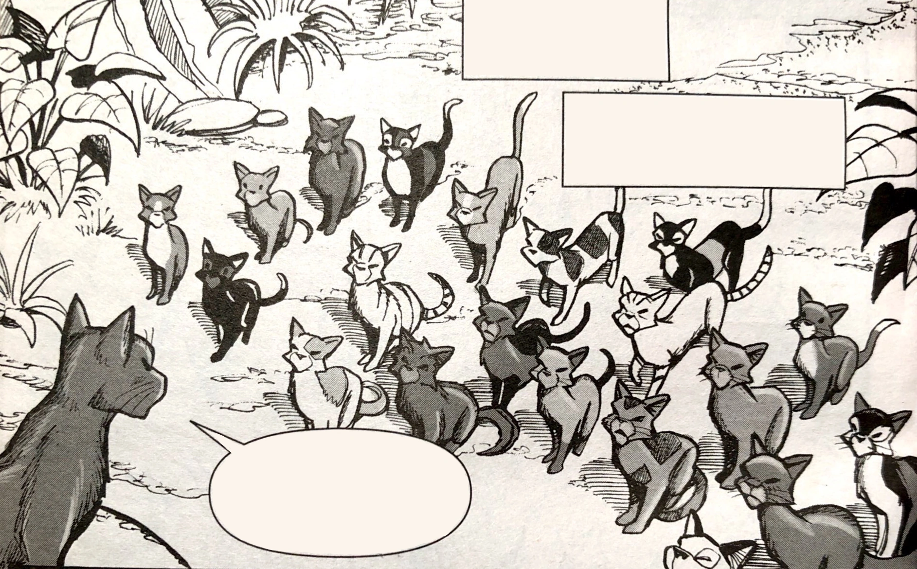 ThunderClan | Warriors Wiki | Fandom