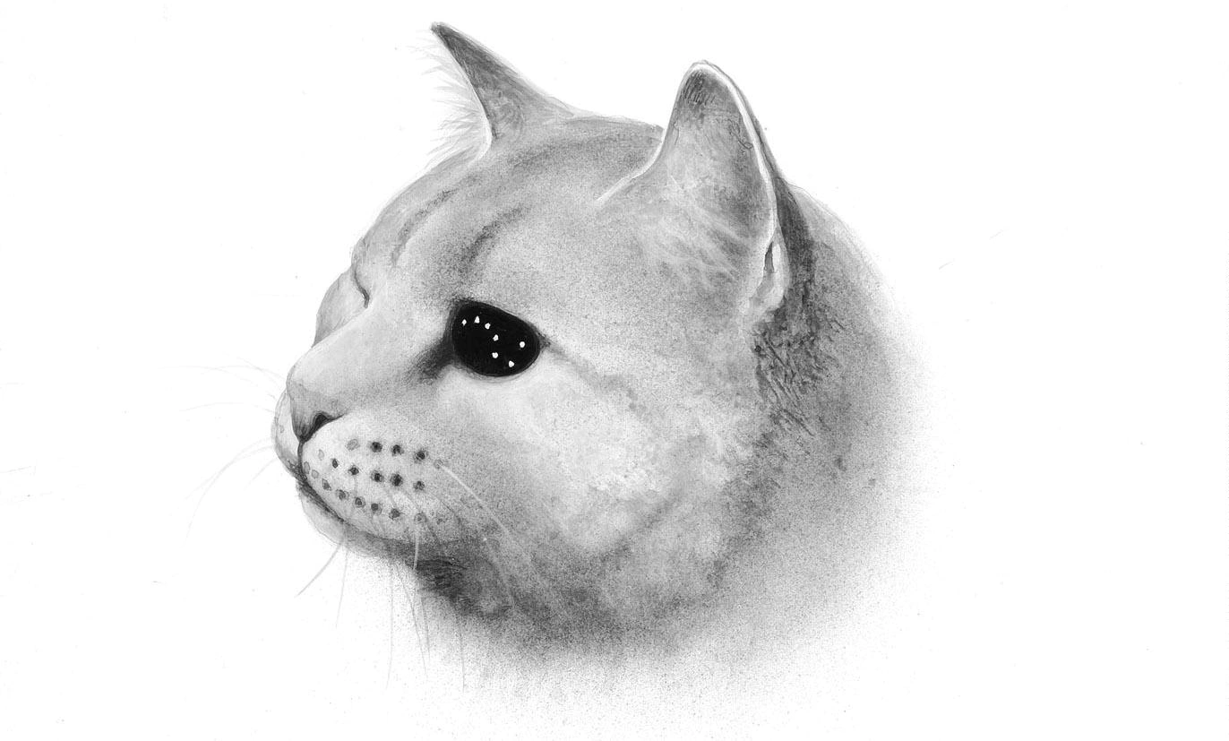 One-eye | Warriors Wiki | FANDOM powered by Wikia