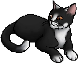 Swiftpaw (TPB) | Warriors Wiki | FANDOM powered by Wikia