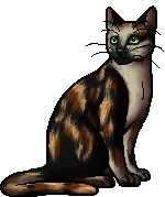 Shellfur | Warriors Wiki | Fandom