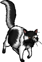 Violetshine | Warriors Wiki | FANDOM powered by Wikia