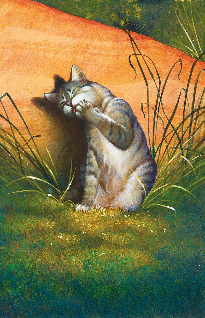 Category:Tribe of Endless Hunting cats | Warriors Wiki | FANDOM powered ...
