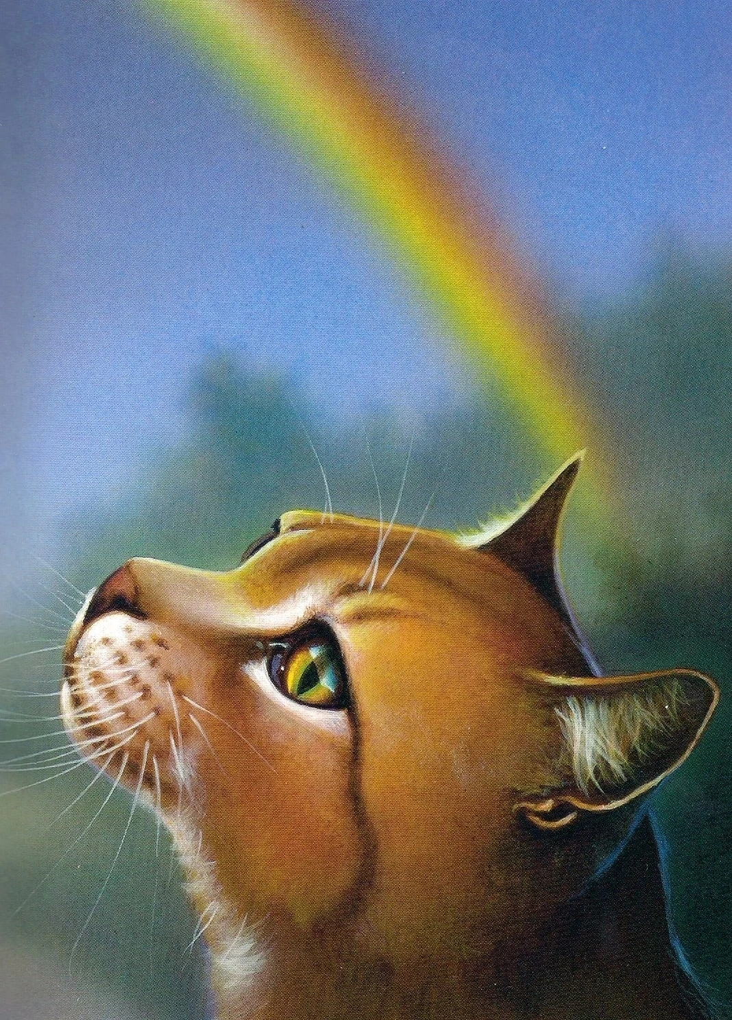 Flametail | Warriors Wiki | Fandom