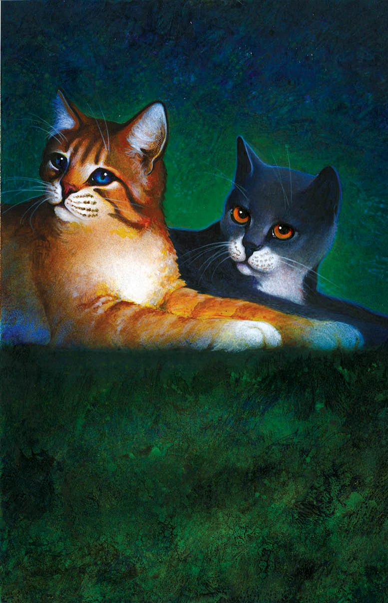 Littlecloud | Warriors Wiki | FANDOM powered by Wikia