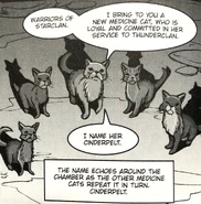 Medicine cat ceremony | Warriors Wiki | Fandom