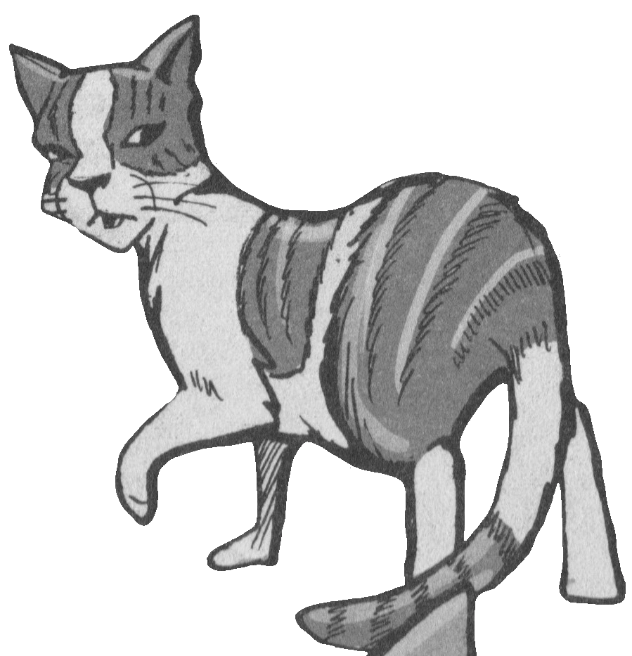 Category:Pebbleshine's Kits characters | Warriors Wiki | Fandom