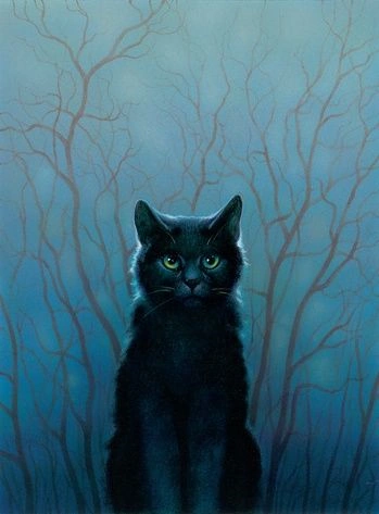 Shadowstar | Warriors Wiki | FANDOM powered by Wikia