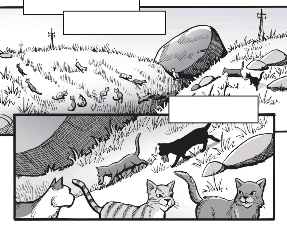 WindClan | Warriors Wiki | Fandom