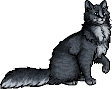 Jay's Wing | Warriors Wiki | FANDOM powered by Wikia