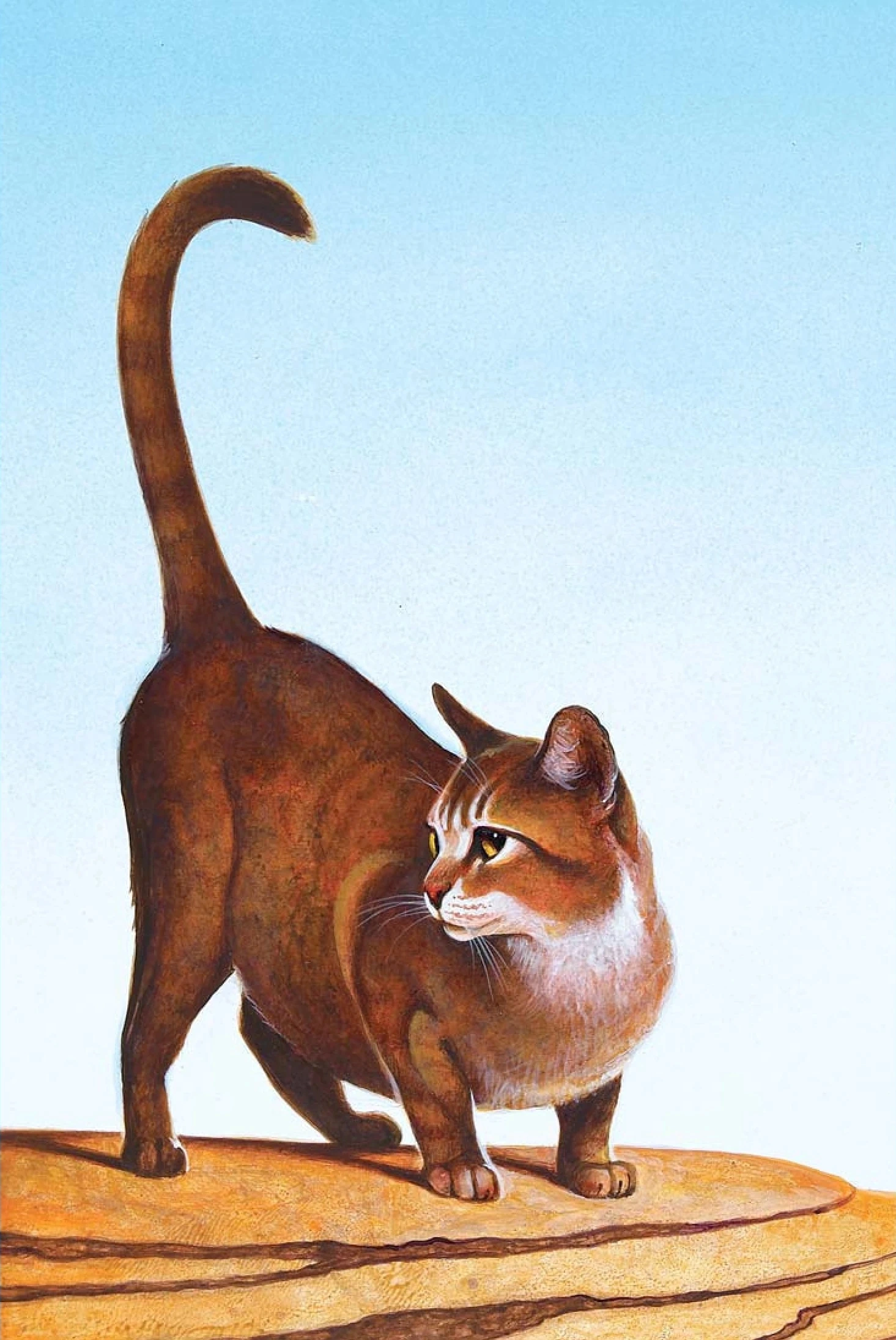 Talon of Swooping Eagle | Warriors Wiki | FANDOM powered by Wikia