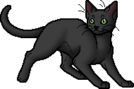 Smokepaw (TNP) | Warriors Wiki | Fandom