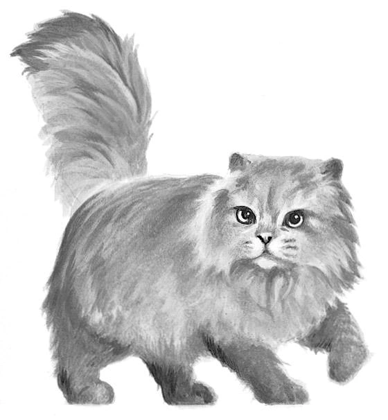 Featherwhisker | Warriors Wiki | FANDOM powered by Wikia