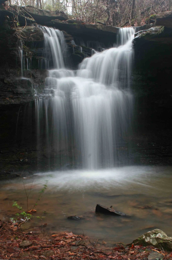 Tribe of Rushing Water | Warriors Fanon Wiki | Fandom