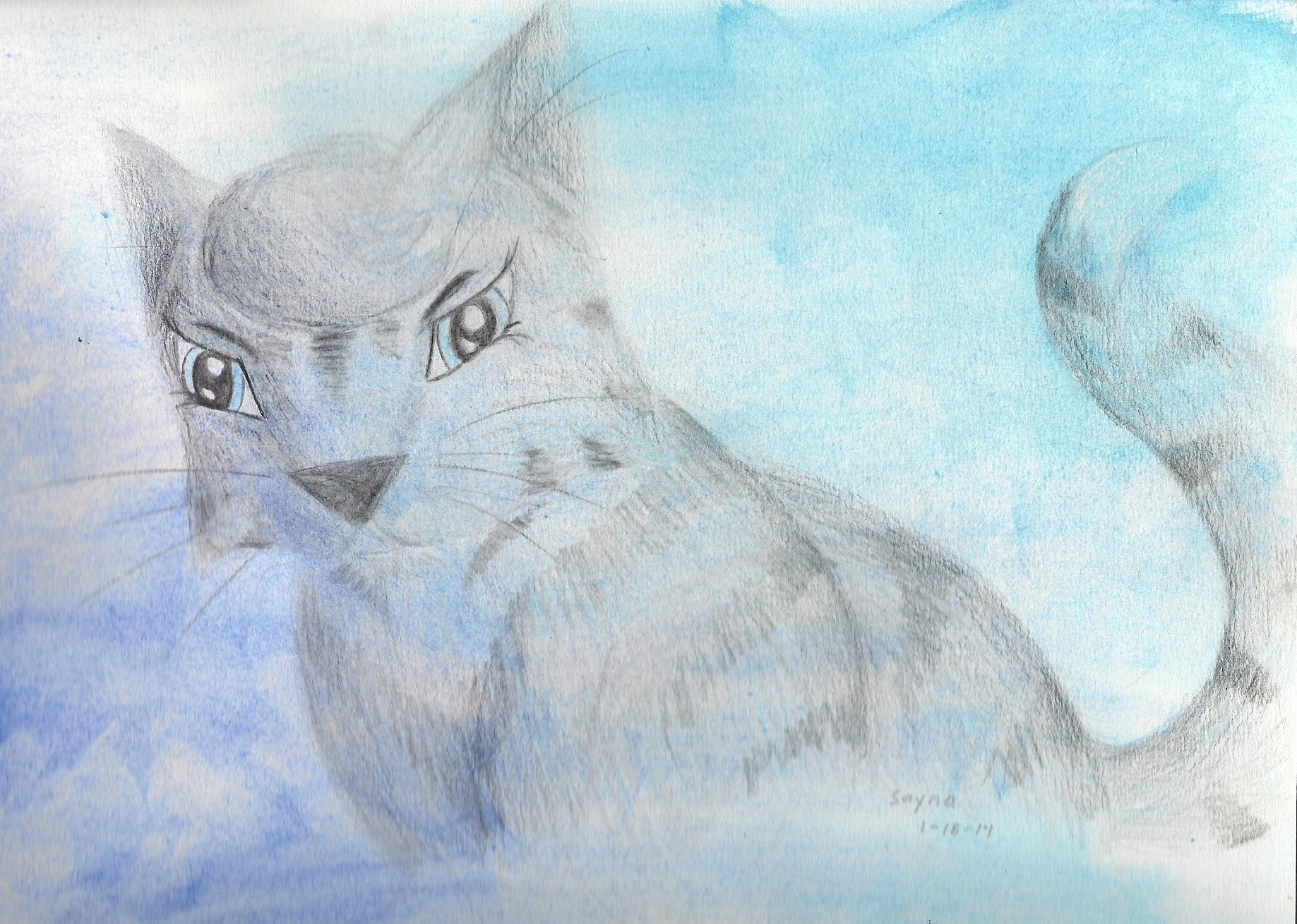 The Rising Storm Series | Warriors Fanfiction | Fandom