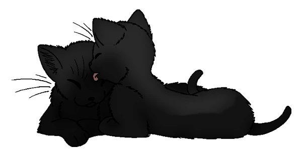 Crowfeather and Nightcloud | Warriors Fanfiction And Charart Wiki | Fandom