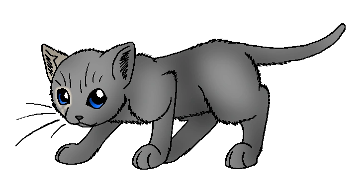 Warrior Cats Willowkit