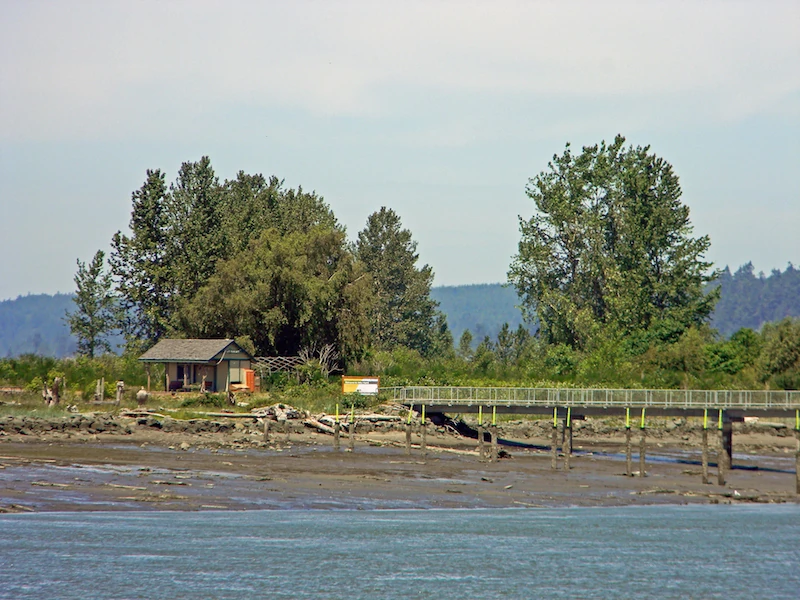 Jetty Island | Washington State Wiki | Fandom
