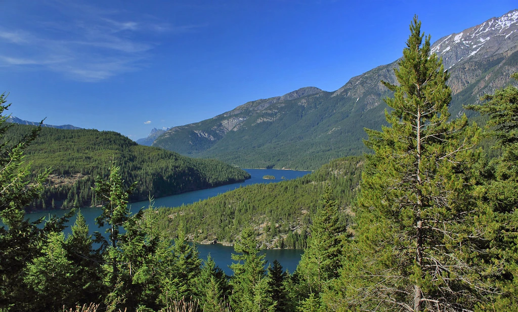 Skagit River | Washington State Wiki | Fandom
