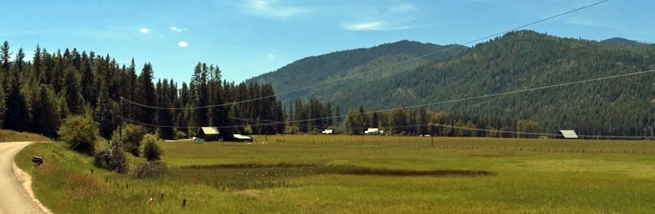 Leadpoint | Washington State Wiki | Fandom