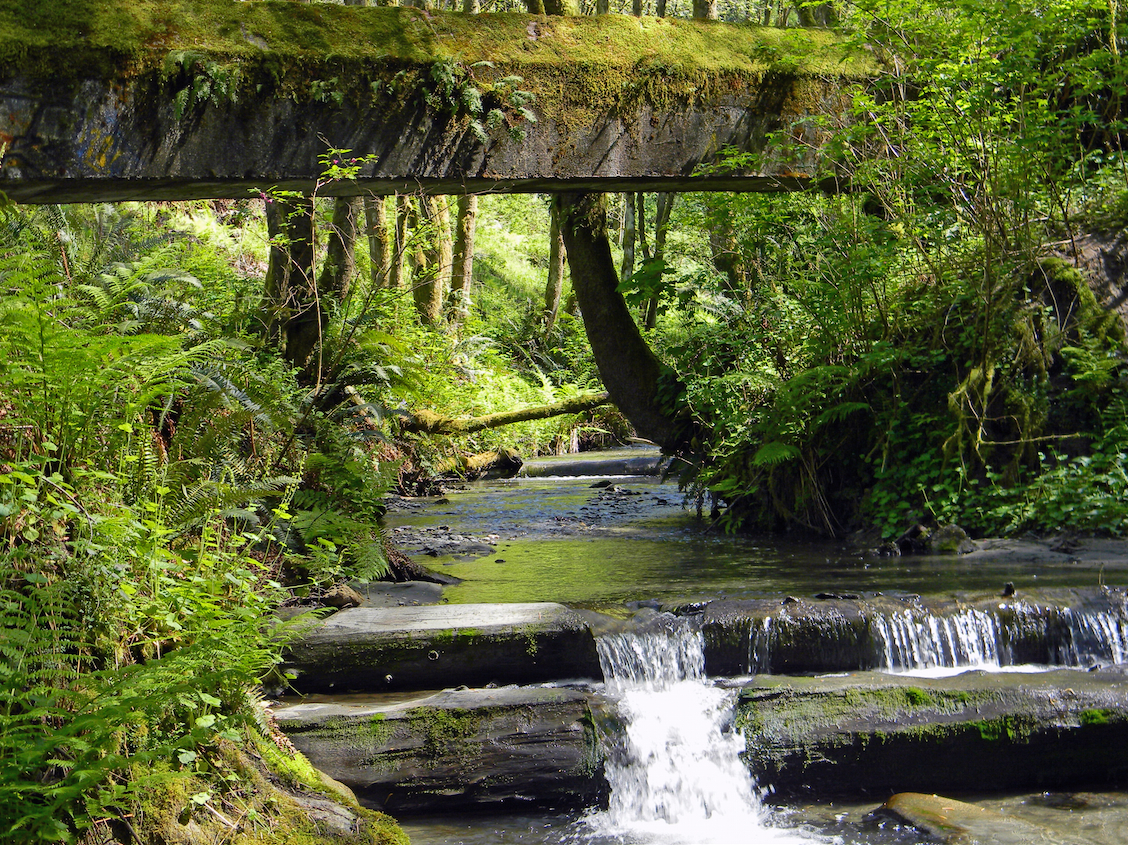 Pigeon Creek | Washington State Wiki | Fandom