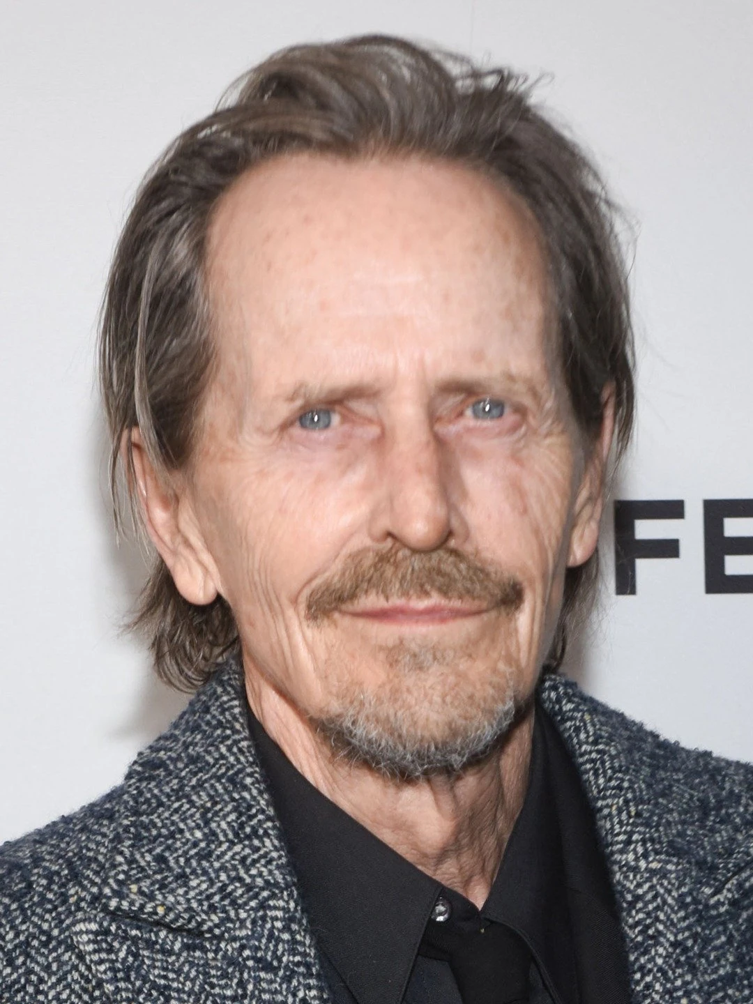 Stephen McHattie | Watchmen Wiki | Fandom