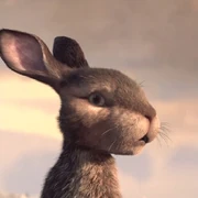 Fiver | Watership Down Wiki | Fandom