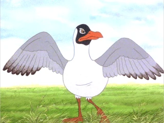 Kehaar | Watership Down Wiki | FANDOM powered by Wikia