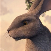 Hawkbit | Watership Down Wiki | Fandom