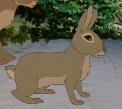 Acorn | Watership Down Wiki | FANDOM powered by Wikia