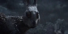Hyzenthlay | Watership Down Wiki | Fandom