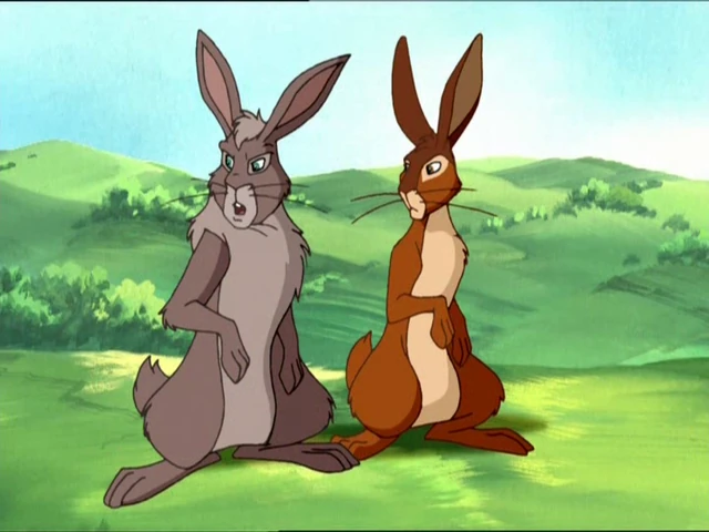 Image - Vlcsnap-2014-05-13-17h51m26s159.png | Watership Down Wiki ...