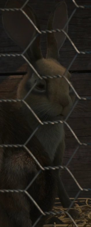 Boxwood | Watership Down Wiki | Fandom