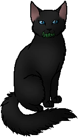 Cinderpelt | Warriors theory Wiki | Fandom