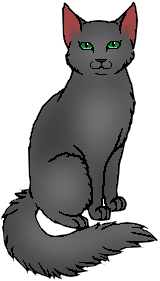 Dovewing | Warriors theory Wiki | Fandom