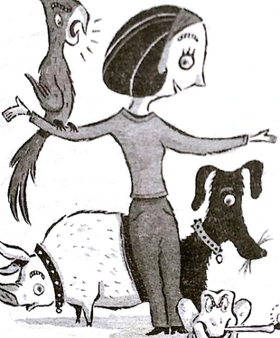 Mrs. Jewls | Wayside School Wikia | Fandom