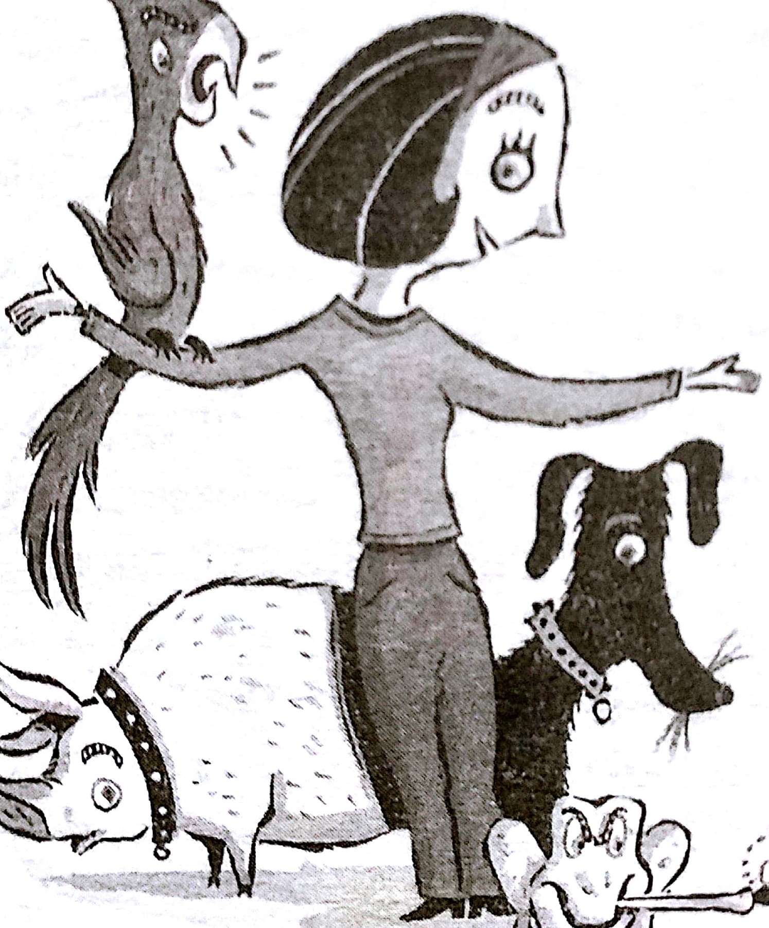 Category:Characters | Wayside School Wikia | FANDOM powered by Wikia