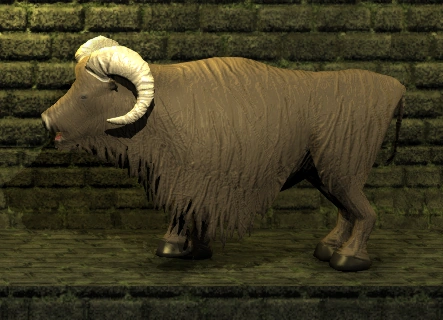 Rothé | Wazhack Wiki | Fandom