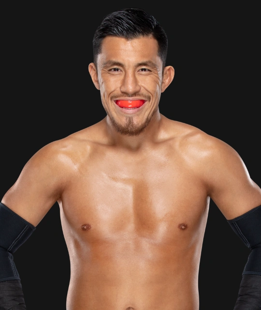 Akira Tozawa | WDFE Wiki | Fandom