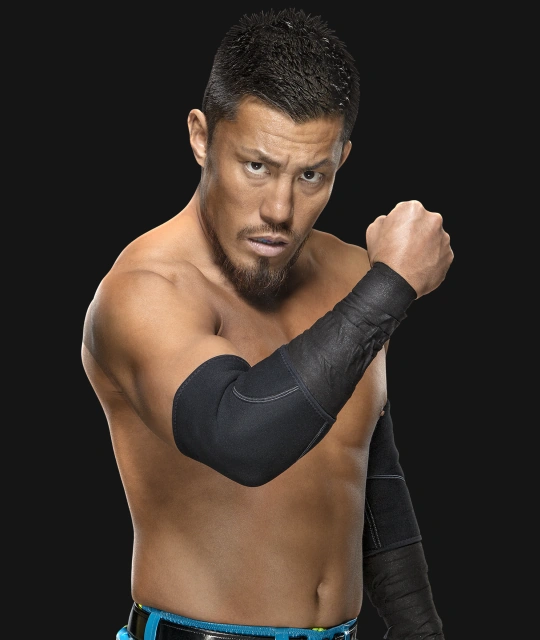 Akira Tozawa | WDFE Wiki | Fandom
