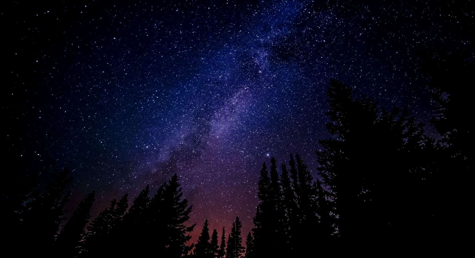 StarClan | WeAreWarriors Wikia | Fandom