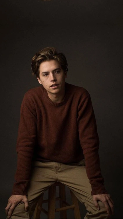 James Sirius Potter | Weasleycullenwattpad Wiki | Fandom