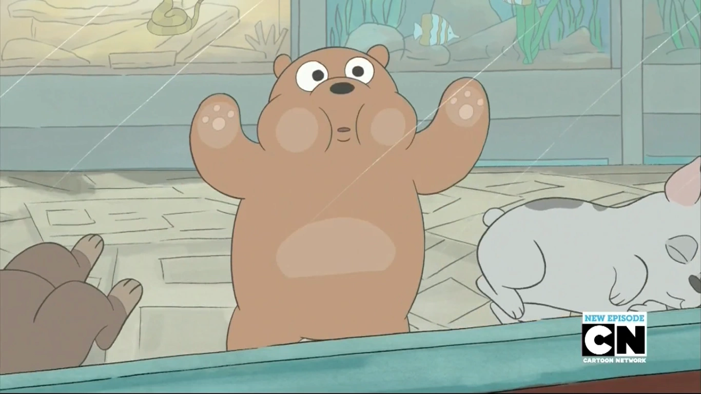 The Bears/Gallery/Pet Shop | We Bare Bears Wiki | Fandom