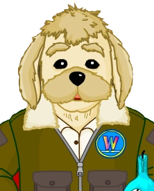Wacky Zingoz | Webkinz Wiki | Fandom