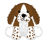 Springer Spaniel | Webkinz Wiki | Fandom