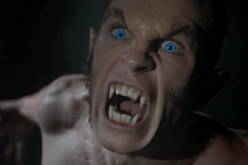 Werewolf (species) | WereWiki | FANDOM powered by Wikia